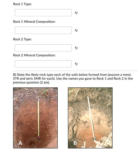 Solved Carbon Input In Grassland Ecosystems Is Dominated By