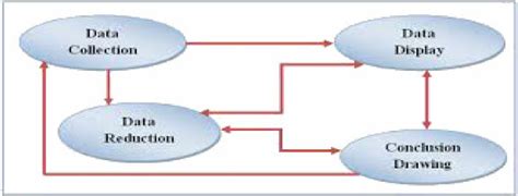 the components of the interactive data analysis model source miles et