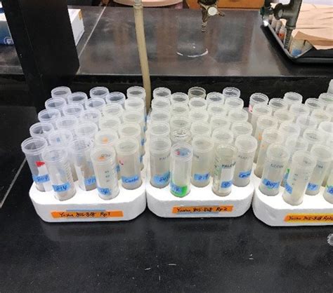 Previous Research Xia Soil Systems Lab