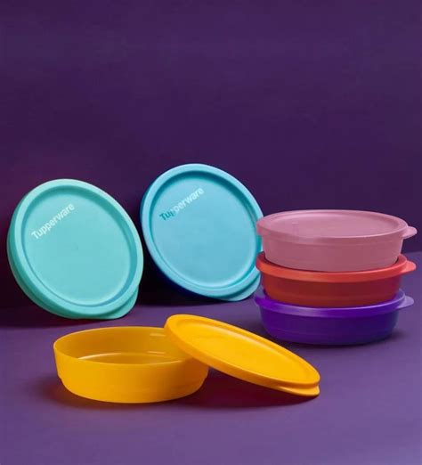 Plastic Tupperware Food Storage Containers 250 Ml At Rs 600 Set In New