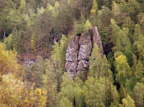 Огурец Таганай Фото – Telegraph