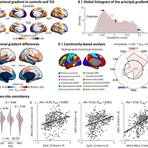 Structure Function Relationship A Surface Wide Between Group Download Scientific Diagram