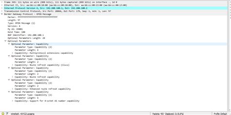 Basic Bgp Information Networking Lab
