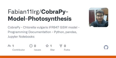 Github Fabian11lrgcobrapy Model Photosynthesis Cobrapy Chlorella
