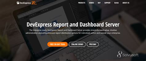 What Is Xtrareports From Developer Express Inc