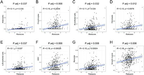 Stromal Cells In Bc Patients Based On The Xcell Algorithm Results Stromal Cells In Bc Patients Based On The Xcell Algorithm Results