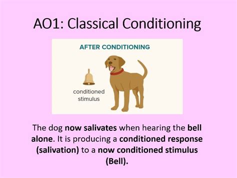 Classical Conditioning Approaches Lesson 2 Aqa Psychology Powerpoint Teaching Resources