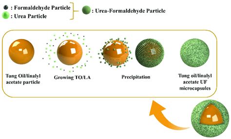 Urea And Formaldehyde Reaction At Ida Barrera Blog