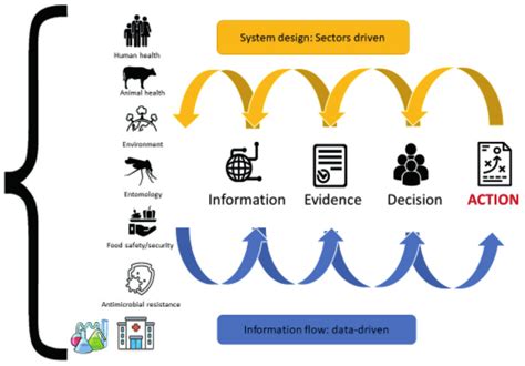 Multisectoral Approach To Data Collection And Analysis Inspired By F