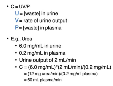 Lecture 30 Urine Concentration Effects Of Hormones And Lecture 31 Renal