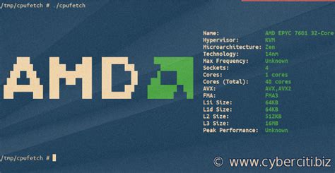 Cpufetch Awesome Cpu Architecture Info Tool For Linuxmacos Nixcraft