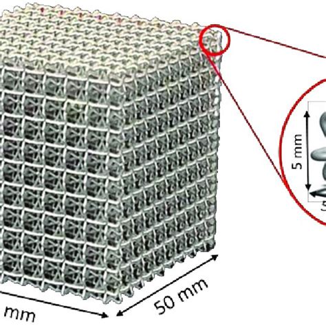 Cellular Architecture Of The Samples Download Scientific Diagram