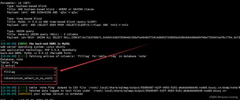 【buuctf N1book】 第一章 Web入门 通关粗心的小李 Csdn博客