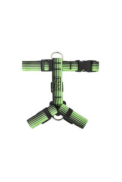 Arnes Not Pull 20 Mm Pequeño Bub