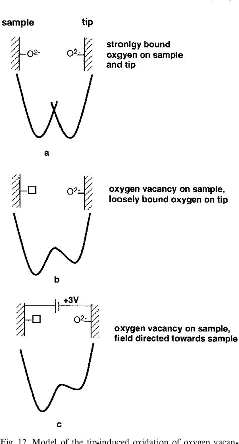 Figure 1 From Intrinsic Defects On A Tio2 110 1×1 Surface And Their Reaction With Oxygen A