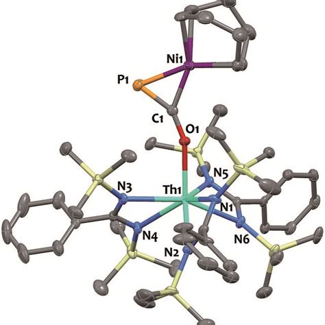 Solid State Molecular Structure Of Compound 9 Determined By