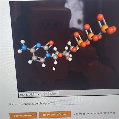 Solved Ball And Stick Labels Name This Nucleoside