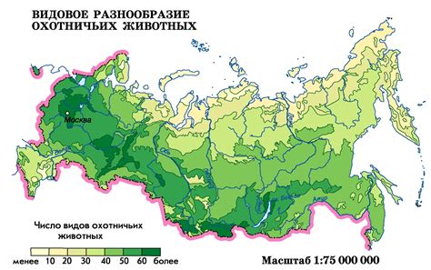 Охотничьи угодья , Том 2 @ НАЦИОНАЛЬНЫЙ АТЛАС РОССИИ