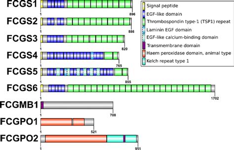 Protein Domain Structure Domains Were Predicted Using Interproscan