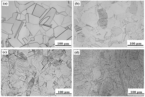 Metals Free Full Text The Influence Of Warm Rolling Reduction On
