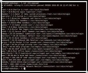 How To Check List Of Users In Unix NixCraft