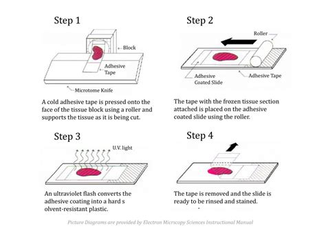 Cryojane Tape Transfer System Histology Research Core