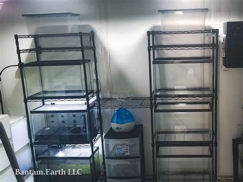 Rustic Diy Vivarium Rack With Adjustable Shelves Bantamearth