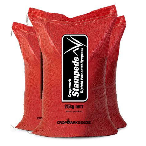 Stampede Cm142 Perennial Ryegrass Notman Pasture Seeds Australia