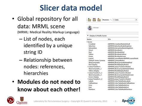 3d slicer module programming ppt download