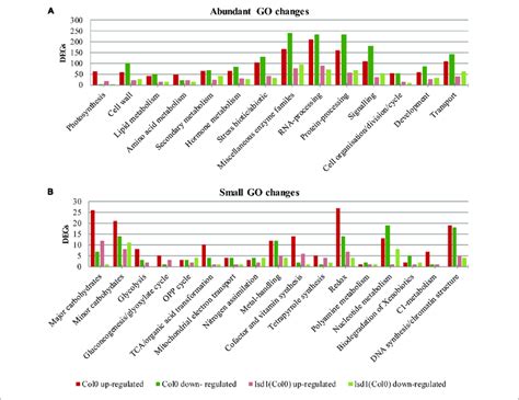 Overview Of Functional Go Classification Of Transcripts Download Scientific Diagram
