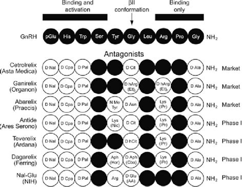 Structure Of Clinically Used Gnrh Antagonists Modified From Millar Et
