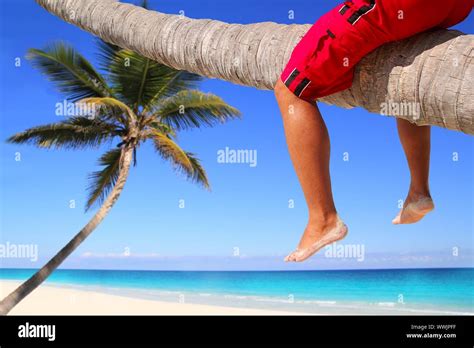 Caribbean Inclined Palm Tree Beach Trunk Sitting Tourist Legs Stock