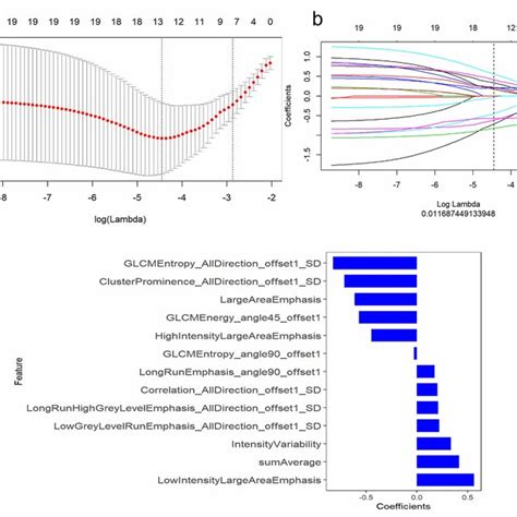 Selection Of Texture Features By The Elastic Net Logistic Regression