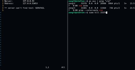 guys i think i ve finally learned how to quit vim r linuxmasterrace