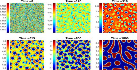 Experiment 2 Spinodal Decomposition Time Evolution Of The Volume