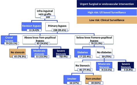 Decision Tree Based On Patient Profile And First Postoperative Graft