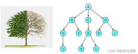 数据结构 树 数据结构 树