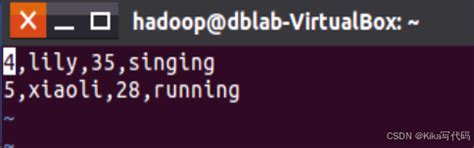 HiveHiveQL大数据技术基础 实验六 数据仓库Hive使用实验 CSDN博客