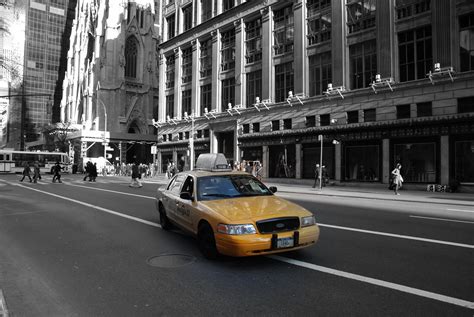 New York Amine Saoudi Hassani