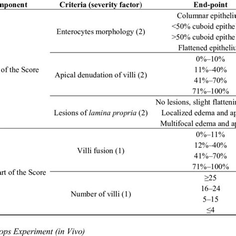 Jejunum Morphology In A Non Loop Segment A And In A Control Loop B Download Scientific