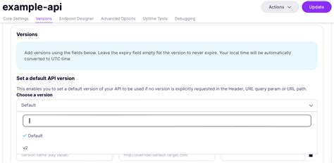 Api Versioning