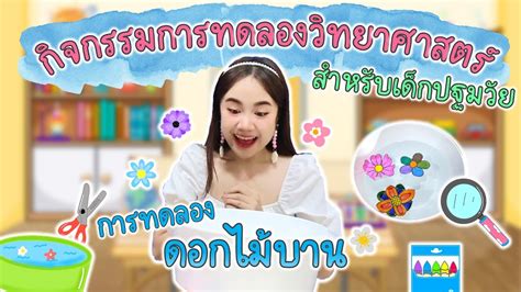 🔍กิจกรรมการทดลองวิทยาศาสตร์สำหรับเด็กปฐมวัย เรื่อง ดอกไม้บาน Youtube