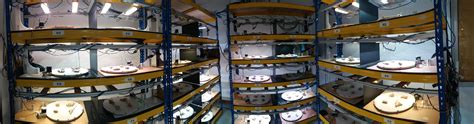 Machine Vision Lab Machine Vision Lab