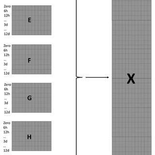 Scheme Of The Procedure For The Augmented Matrix X The Matrix Formed Download Scientific
