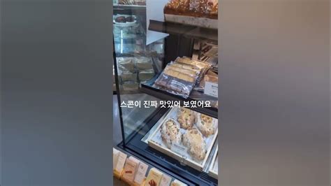 ️레드포크추천 ️아방베이커리 궁금한 빵순이들 모이세요 ️ 빵순이 빵맛집 레드포크 Redfork Youtube
