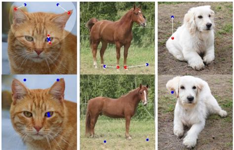 Technobytes Draggan Ai Image Editor Introduces Revolutionary Drag