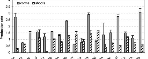 Multiplication Of Gladiolus On Semi Solid Medium Evaluation Of The Download Scientific Diagram
