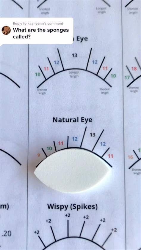 Eyelash Extension Mapping Training Charts Lash Extension Application Lash Education Lash