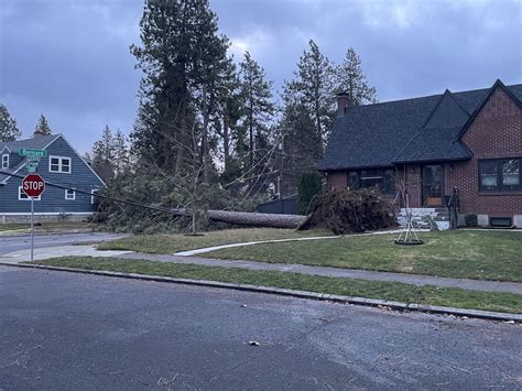 Winds Exceed 80 Mph In The Inland Nw Knocking Down Trees And Power