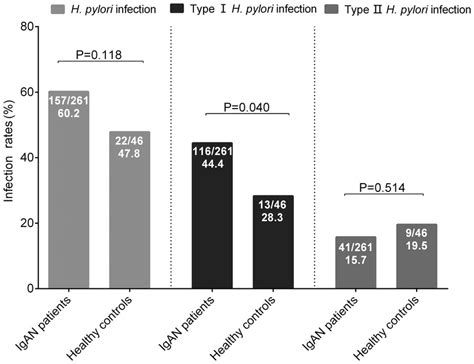 The Helicobacter Pylori Infection Rates In Iga Nephropathy Patients And